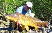 TROPHY CARP FLY FISHING | Toflyfish