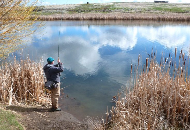 STILLWATER FLY FISHING AND SINKING LINES | Toflyfish