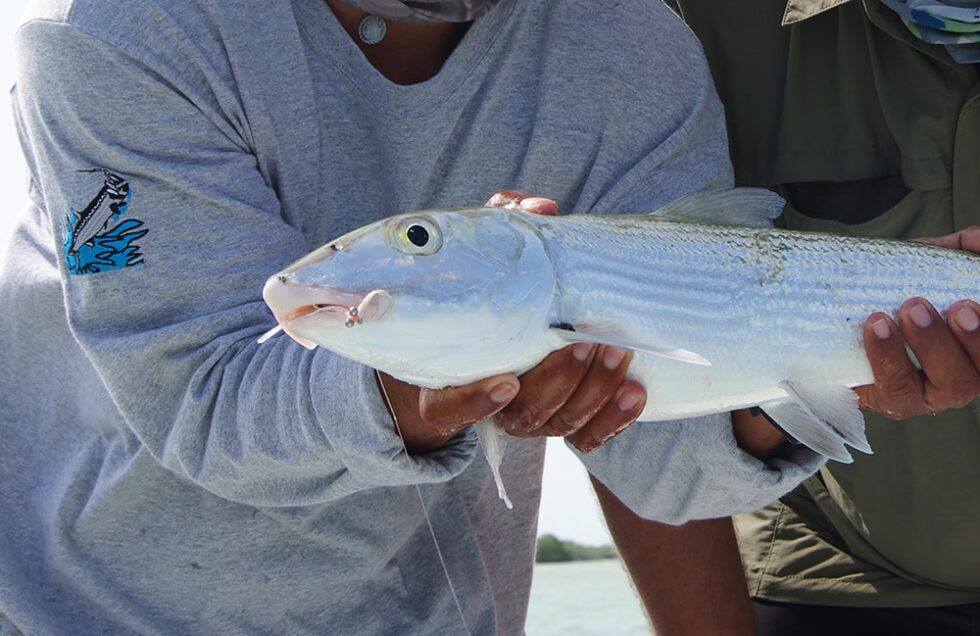 BONEFISH FLIES - ToFlyFish